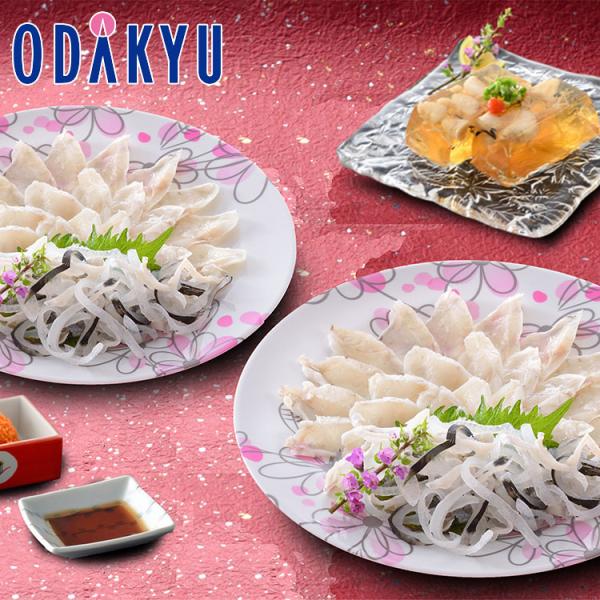 加工地：山口県産地：マフグ（山口県産）、トラフグ（長崎県産、熊本県産：養殖）重さ：約0.55kg箱サイズ：28.2×23×8.2(cm)賞味期間：製造日より90日間内容：真ふぐ霜降り刺身（19cm皿）35g×2、とらふぐ皮20g×2、ふぐ煮...