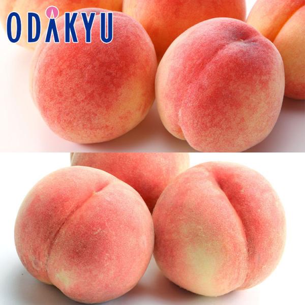 重さ：約1.8kg内容：長野県産旬の桃、福島県産旬の桃（合計6〜8玉／1.8kg） × 1箱※品種および各産地の玉数は、お届け時期や入荷状況により異なります。