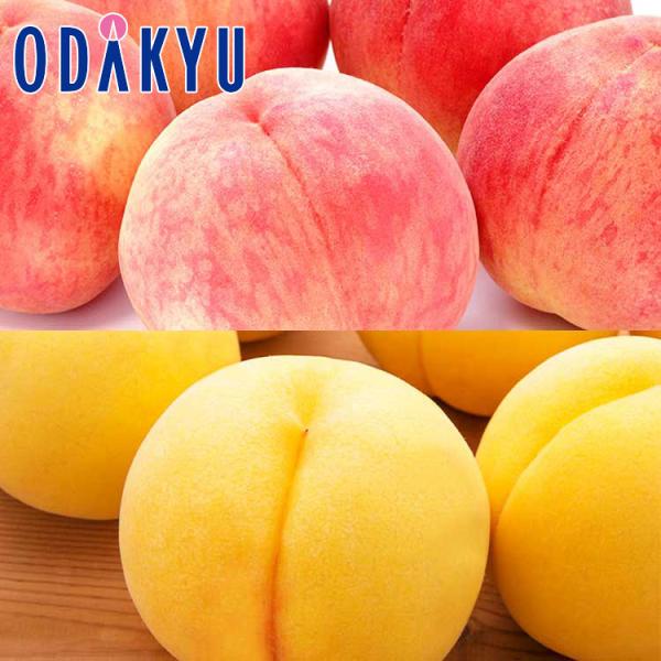 重さ：約1.8kg内容：福島県産黄金桃、福島県産旬の桃（合計6〜8玉／1.8kg） × 1箱※黄金桃以外の桃の品種およびそれぞれの玉数は、お届け時期や入荷状況により異なります。