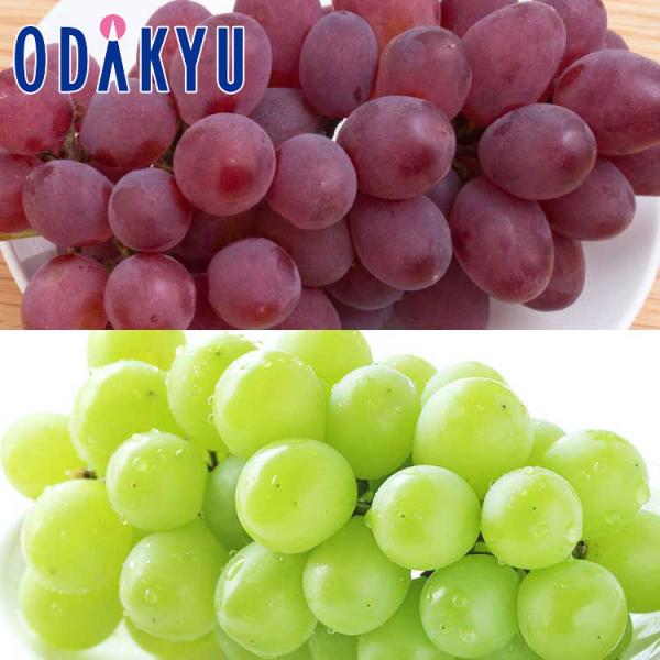 重さ：約1.3kg内容：山梨県産サニールージュ（1kg）、山梨県産シャインマスカット（1房／350g以上）