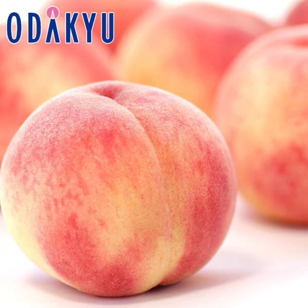 重さ：約2kg