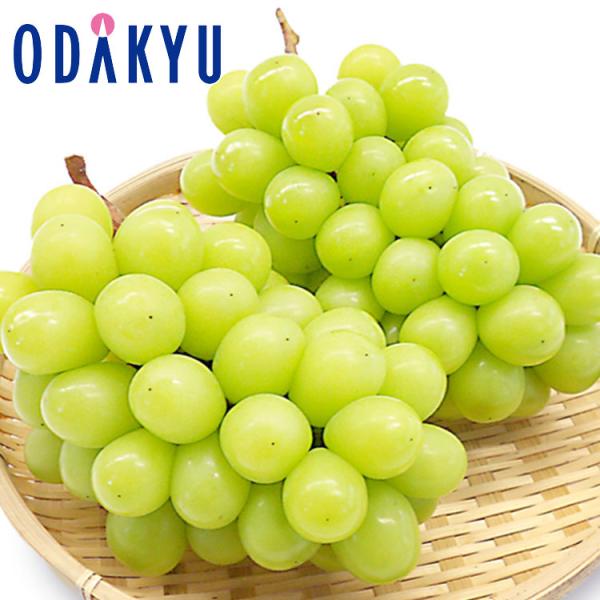 重さ：約0.8kg内容：国内産シャインマスカット（1房400g） × 2房※産地はおまかせとなります。100セット限定。