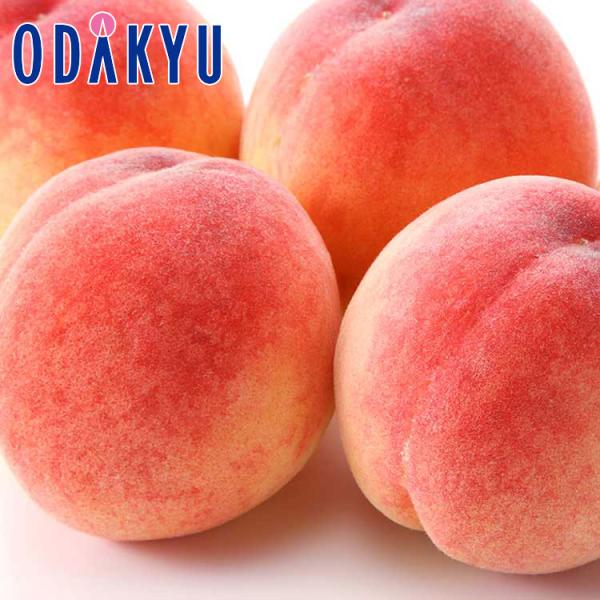 産地：福島県重さ：約2.5kg内容：福島県産あかつき（8〜9玉／2.5kg） × 1箱