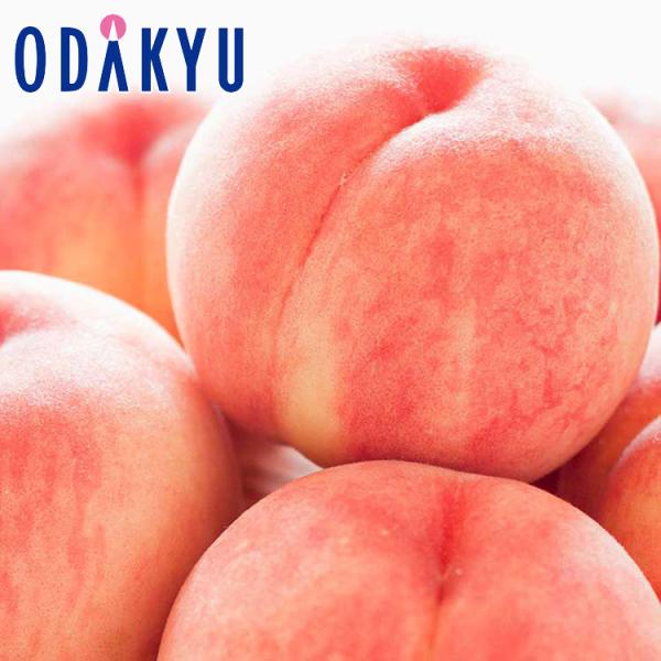 産地：福島県重さ：約2.5kg内容：福島県産まどか（8〜9玉／2.5kg） × 1箱