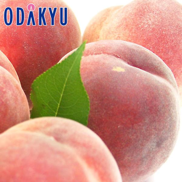 産地：福島県重さ：約2.5kg内容：福島県産川中島白桃（8〜9玉／2.5kg） × 1箱