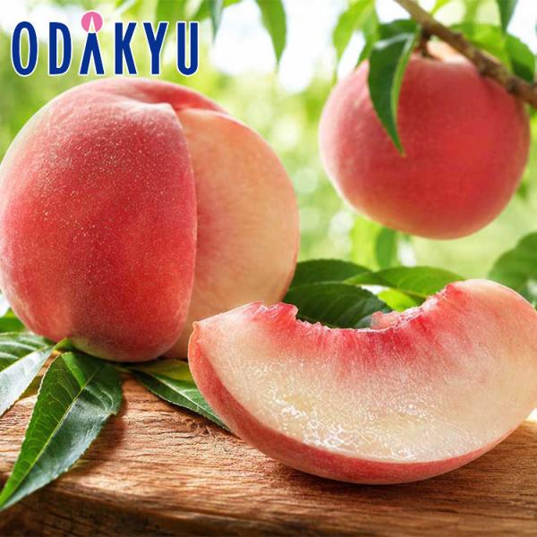 産地：福島県重さ：約1.8kg内容：福島県産紅錦香〈くにか〉（6〜8玉／1.8kg） × 1箱