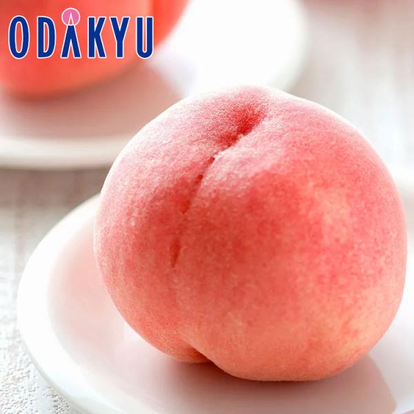 産地：福島県重さ：約2.5kg内容：福島県産ゆうぞら（6〜7玉／2.5kg） × 1箱