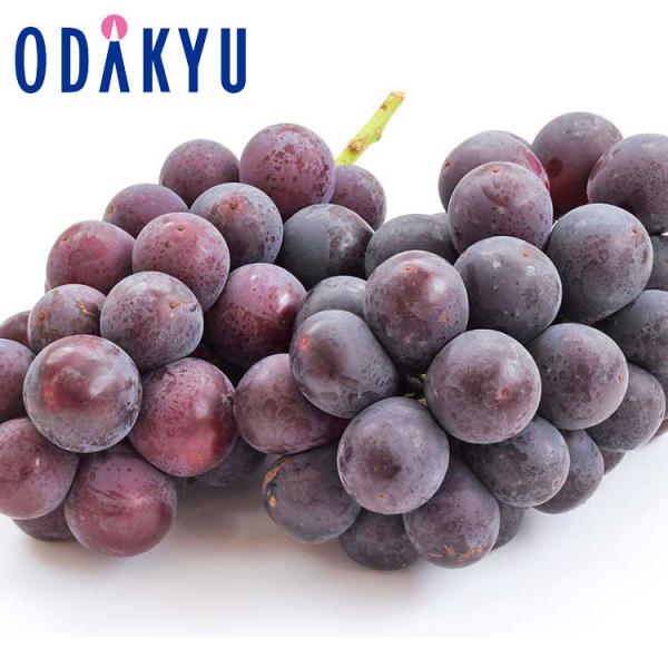 重さ：約0.9kg内容：山梨県産種なし巨峰（1房450g以上） × 2房