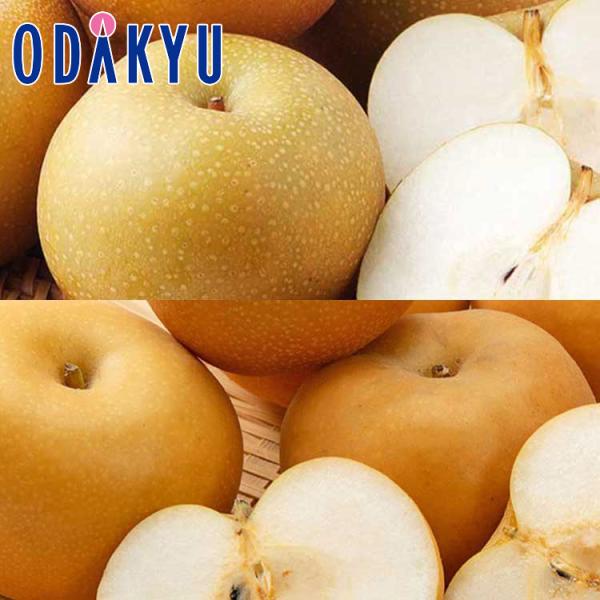内容：茨城県・千葉県産他 あきづき梨（1玉330g以上）×2〜3玉長野県産 南水梨（1玉330g以上）×2〜3玉合計約2kg（4〜6玉）