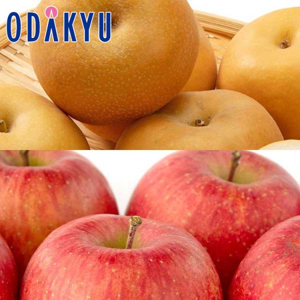 内容：茨城県・千葉県・長野県産他 旬の梨（1玉300g以上）×4玉青森県・長野県・岩手県産他 旬のりんご（1玉230g以上）×4玉