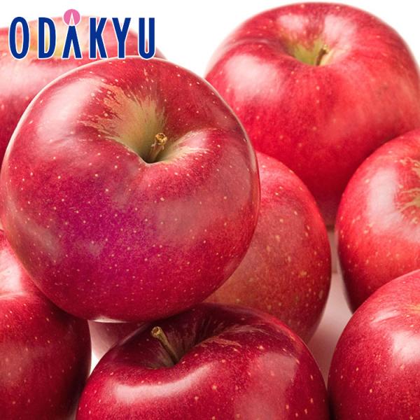 内容：青森県・長野県・岩手県産他 旬のりんご（1玉230g以上）×約2.5kg（8〜10玉）