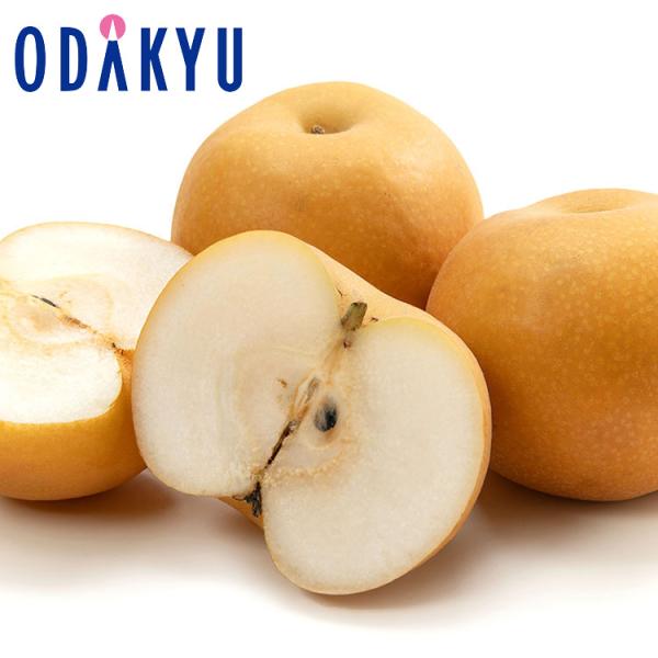 内容：茨城県・千葉県・長野県産他 旬の梨（1玉300g以上）×約2.5kg（5〜8玉）