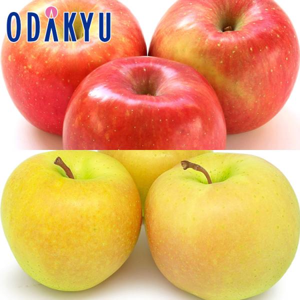 内容：秋田県産他早生ふじ約1.2kg （5玉〜7玉入り）秋田県産他とき約1.2kg （5玉〜7玉入り）