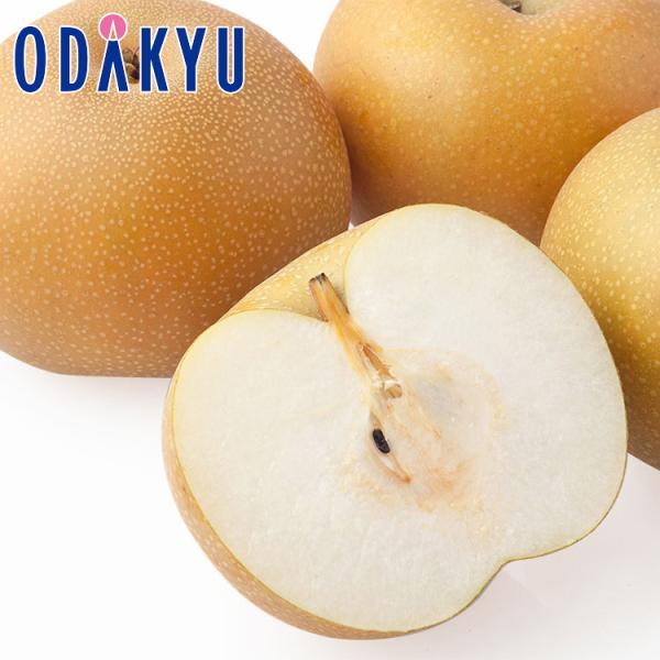 内容：茨城県・千葉県産他 大玉あきづき梨（1玉400g以上）×約2kg（4〜5玉）
