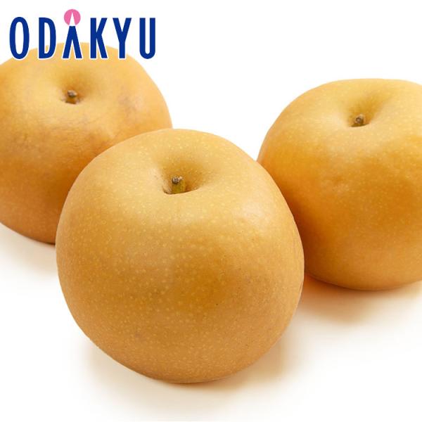 内容：長野県産 南水梨（1玉330g以上）×約2kg（5〜6玉）