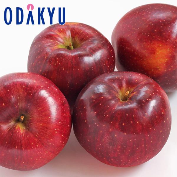 内容：長野県産 秋映（1玉250g以上）×約2kg（6〜8玉）