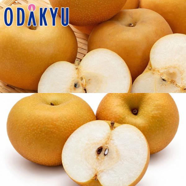 重さ：2.0kg内容：長野県産高糖度南水（1玉300g以上）×2〜3玉長野県三ッ石さんの南水（1玉300g以上）×2〜3玉