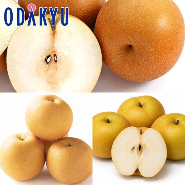 重さ：2.4kg内容：新潟県産他新高（1玉400g以上）×1〜2玉新潟県産他新興（1玉400g以上）×1〜2玉栃木県産他にっこり（1玉400g以上）×1〜2玉