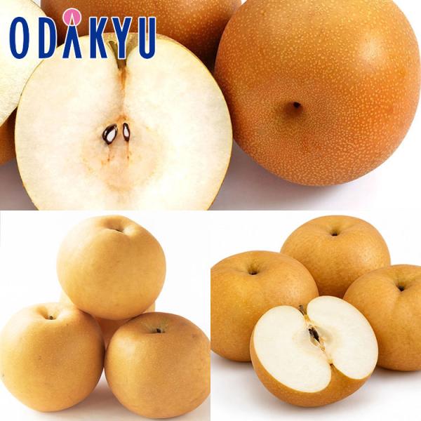 重さ：3.0kg内容：新潟県産他新高（1玉500g以上）×1〜2玉栃木県産他にっこり（1玉500g以上）×1〜2玉岡山県産他愛宕（1玉500g以上）×1〜2玉