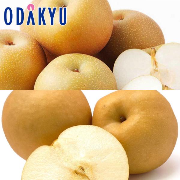 重さ：2.0kg内容：長野県産他高糖度あきづき（1玉350g以上）×2〜3玉新潟県産他高糖度新高（1玉350g以上）×2〜3玉