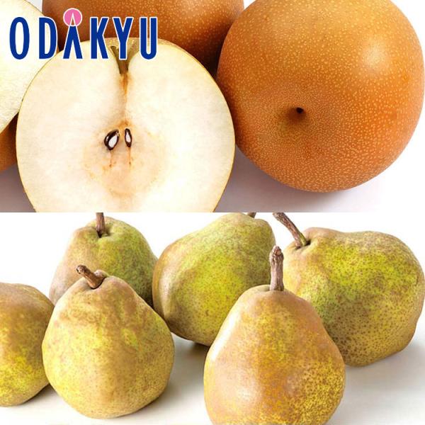 重さ：2.0kg内容：栃木県産他にっこり（1玉350g以上）×2〜3玉山形県産他ラ・フランス（1玉350g以上）×2〜3玉