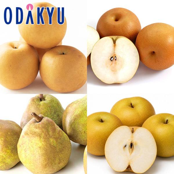 重さ：2.8kg内容：新潟県産他新高（1玉350g以上）×1〜2玉新潟県産他新興（1玉350g以上）×1〜2玉栃木県産他にっこり（1玉350g以上）×1〜2玉山形県産他ラ・フランス（1玉350g以上）×1〜2玉