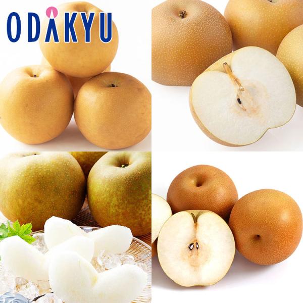 重さ：2.4kg内容：おすすめ晩生梨（1玉350g以上）×8〜14玉※新高・新興・にっこりなどからおまかせ