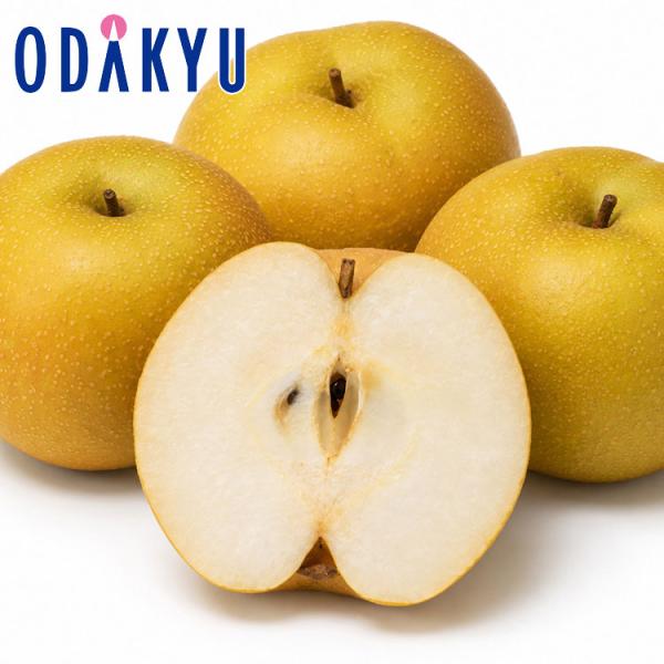 内容：新潟県産他高糖度新興約２kg（２玉〜５玉）×1箱