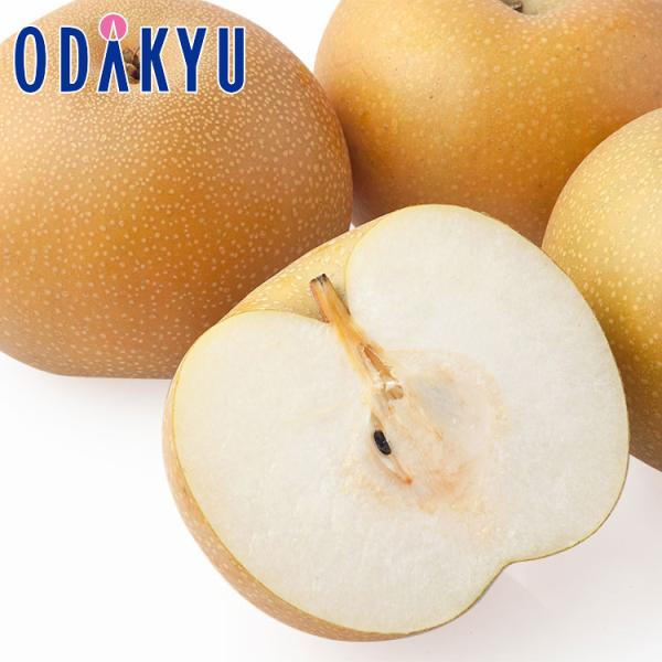 内容：長野県産他高糖度あきづき約５kg（10玉〜16玉）×1箱
