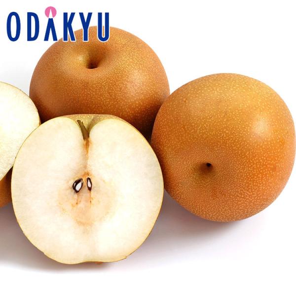 内容：栃木県にっこり約５kg（8玉〜12玉）×1箱