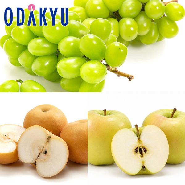 産地：長野県産 他重さ：1.6kg内容：長野県産他シャインマスカット1房（450g以上）長野県産他南水2玉（1玉300g以上）青森県産他メジャートキ2玉（1玉250g以上）総重量1.55kg以上