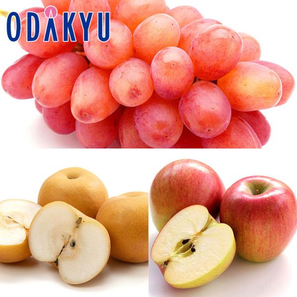 産地：長野県産 他重さ：1.6kg内容：長野県産クイーンルージュ1房（450g以上）長野県産南水2玉（1玉300g以上）長野県産他シナノスイート2玉（1玉250g以上）総重量1.55kg以上