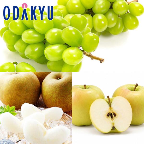 産地：岡山県産 他重さ：1.6kg内容：岡山県産晴王シャインマスカット1房（450g以上）熊本県産他甘太2玉（1玉300g以上）青森県産メジャートキ2玉（1玉250g以上）総重量1.55kg以上