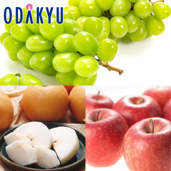 産地：長野県産 他重さ：1.8kg内容：長野県産他シャインマスカット1房（450g以上）新潟県産他新高2玉（1玉400g以上）山形県産他千秋2玉（1玉250g以上）総重量1.75kg以上