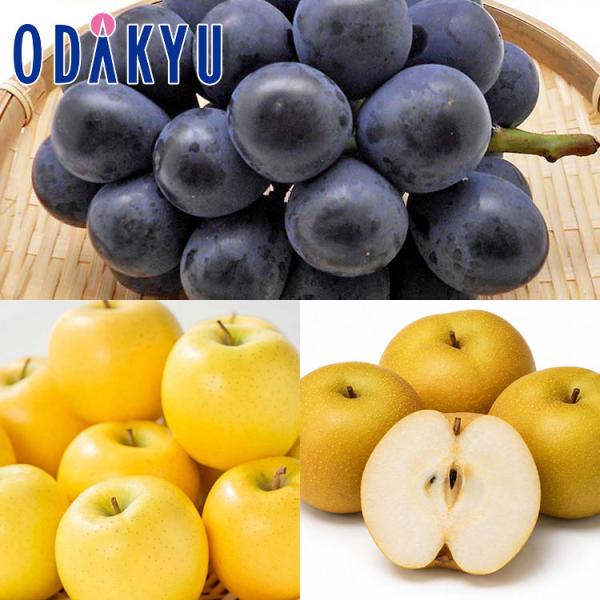 産地：長野県産 他重さ：1.8kg内容：長野県産他種なしピオーネ1房（450g以上）新潟県産他新興2玉（1玉400g以上）長野県産他シナノゴールド2玉（1玉250g以上）総重量1.75kg以上