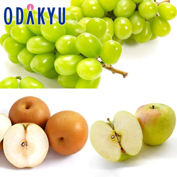 産地：長野県産 他重さ：1.8kg内容：長野県産他シャインマスカット1房（450g以上）栃木県産にっこり2玉（1玉400g以上）長野県産他ぐんま名月2玉（1玉250g以上）総重量1.75kg以上