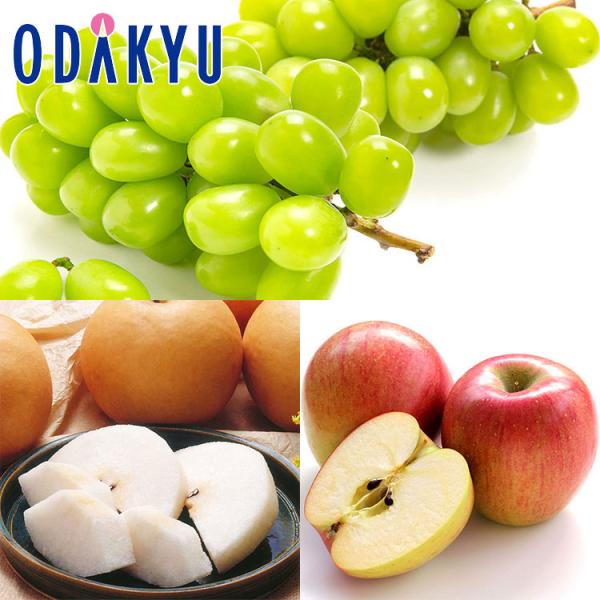 産地：長野県産 他重さ：1.7kg内容：長野県産他シャインマスカット1房（350g以上）旬の梨2玉（1玉300g以上）長野県産他シナノスイート3玉（1玉250g以上）総重量1.7kg以上