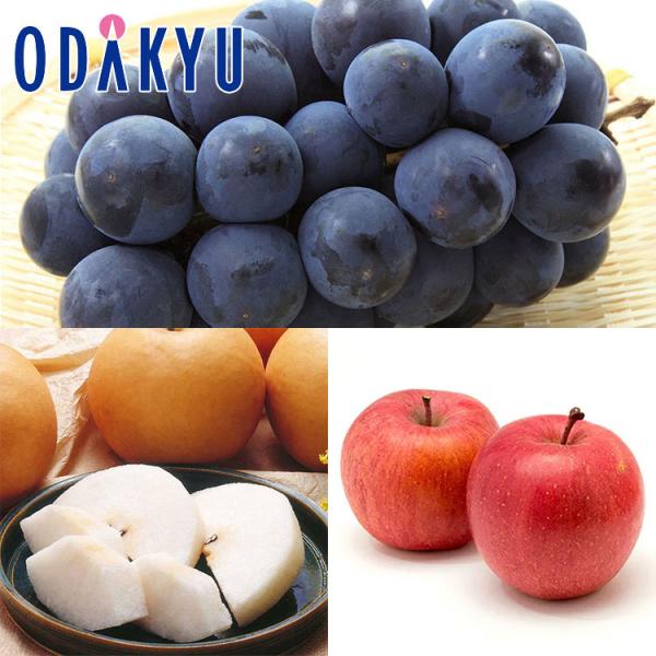 産地：長野県産 他重さ：2.3kg内容：長野県産他種なし巨峰1房（350g以上）旬の梨3玉（1玉300g以上）青森県産他ひろさきふじ4玉（1玉250g以上）総重量2.25kg以上