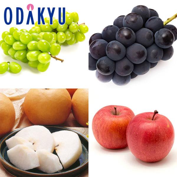 産地：長野県産 他重さ：3.6kg内容：長野県産他シャインマスカット1房（350g以上）長野県産他種なし巨峰1房（350g以上）旬の梨4玉（1玉350g以上）青森県産他ひろさきふじ6玉（1玉250g以上）総重量3.6kg以上