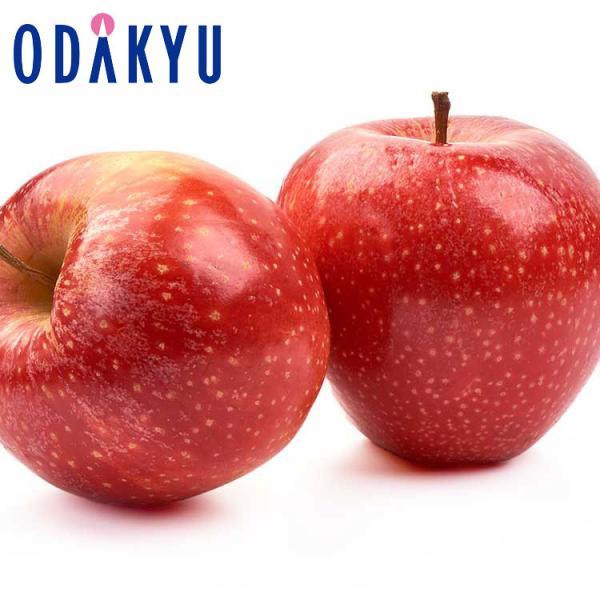 産地：秋田県産重さ：5.0kg内容：秋田県産 秋田紅あかり（1玉250g以上）×14〜20玉