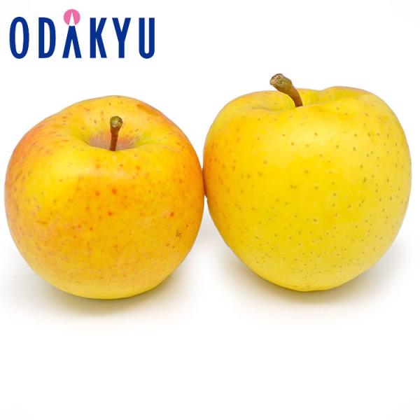 産地：青森県産重さ：5.0kg内容：青森県産 星の金貨（1玉250g以上）×14〜20玉
