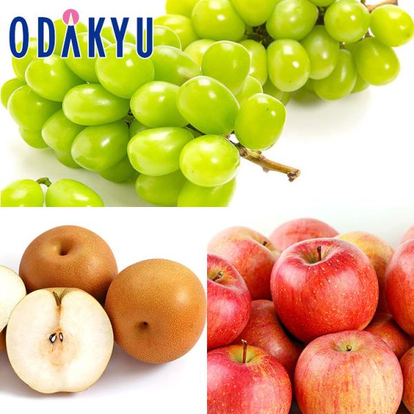 産地：長野県産 他重さ：1.7kg内容：長野県産他シャインマスカット 1房(500g以上)茨城県産他梨 2玉(1玉350g以上)長野県産他りんご 2玉(1玉250g以上)計1.7kg以上