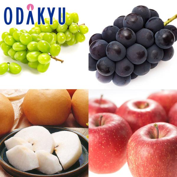 産地：長野県産 他重さ：1.75kg内容：長野県産他シャインマスカット 1房(500g以上)長野県産他種なし巨峰 1房(400g以上）茨城県産他梨 1玉(350g以上)長野県産他りんご 2玉(1玉250g以上)計1.75kg以上