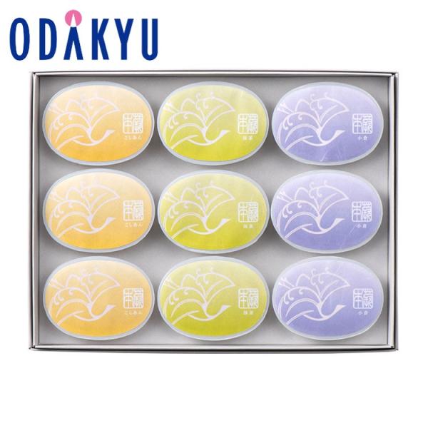 箱サイズ：21×28×4(cm)賞味期限：製造日から90日(配送日から45日以上)内容：本蕨×9個