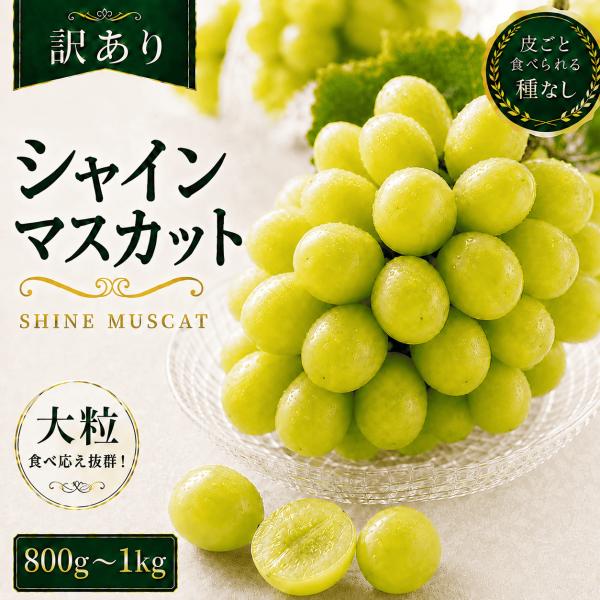 産地名： 山梨/大阪/岡山/福岡/香川/長野など品種名： シャインマスカット内容量： 約800g~1kg/（訳あり）【商品説明】＼ シャインマスカット ／◆種なしで皮ごと食べられる・種がないため、面倒な種取り不要。・薄い皮ごとそのままお召し...