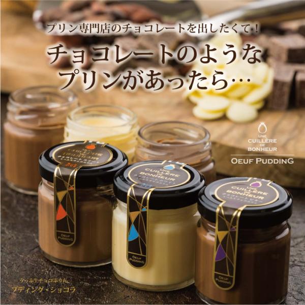 プリン専門店が贈り出す、プリンとチョコレートのマリアージュがお楽しみいただけます。濃厚な「生チョコ」のような口溶けをお確かめください。■消費期限配送日より30日以上※画像はイメージです。商品・パッケージ等のデザインは、予告なく変更する場合が...