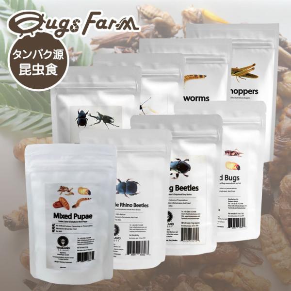 未来のタンパク源として期待されてる昆虫食 高栄養食 高蛋白で低糖質 豊富なアミノ酸 バッタ グラスホッパー 昆虫ミックス（4種） スーパーワーム 虫 美味しい 美味 珍味商品名：昆虫食 THAILAND UNIQUE 2400種類：グラスホ...