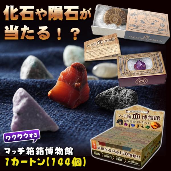 本物の化石や隕石が当たるマッチ箱博物館　鉱物と化石のコレクション 科学雑貨 鉱物 化石 隕石 虫 琥珀 マッチ箱 開封 石 アンモナイト 自由研究 ガチャ 化石 鉱物 マッチ箱 博物館 鉱物と化石のコレクションまとめ買 カートン 144個 ...