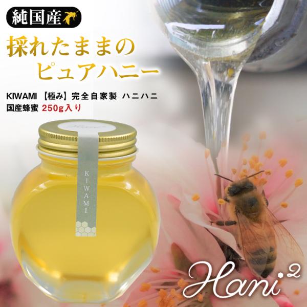 自然由来のプレミアムハニー Hani2 KIWAMI はちみつ Hani2 百花蜜 四季 蜂蜜 ハチミツ ハニー 純国産 美味しい おいしい ハニハニ ヘアリーベッチ ノーブレンドあっさり 日本製 自家製容量250gHani2 KIWAMI...
