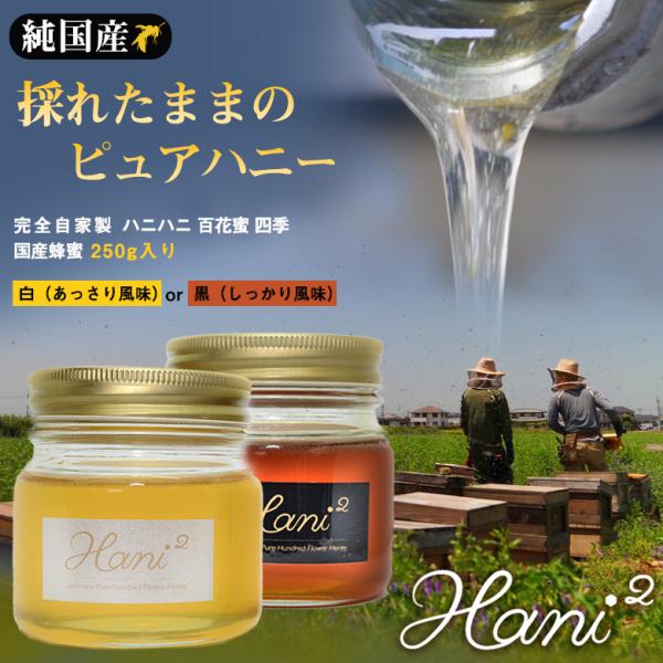 混ぜ物無しの自然由来のはちみつ Hani2 百花蜜 四季 蜂蜜 ハチミツ ハニー 純国産 美味しい ハニハニ ヘアリーベッチ ノーブレンド 濃厚 あっさり 日本製 自家製容　量250g味　白（あっさり風味）/　黒（しっかり風味）Hani2 ...
